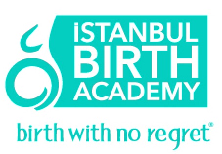 International Childbirth Initiative